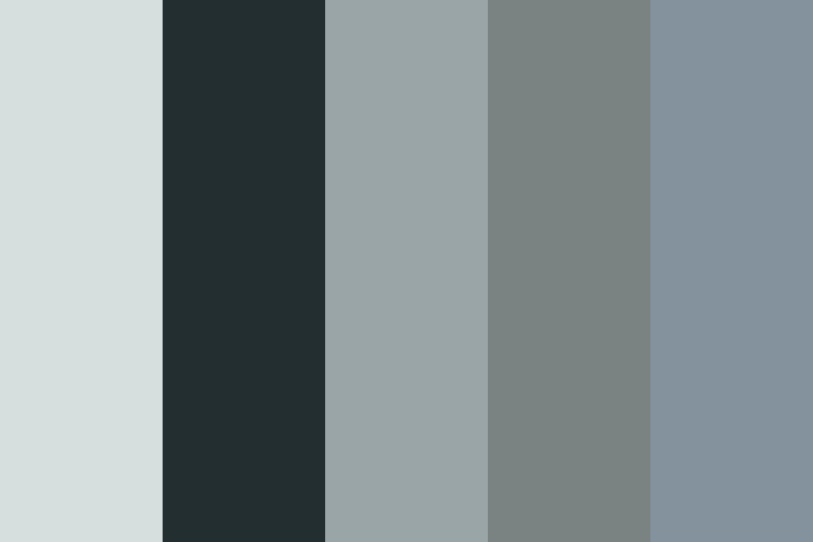 #D6DFDD #222E30 #99A5A6 #7A8382 #84929E Color Palette