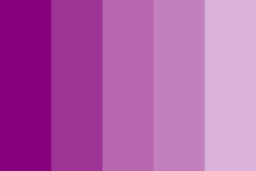 Quadrilateral Color Palette