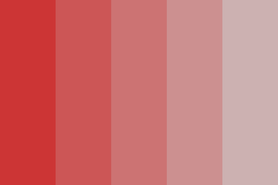 Cherry Shrimp Color Palette