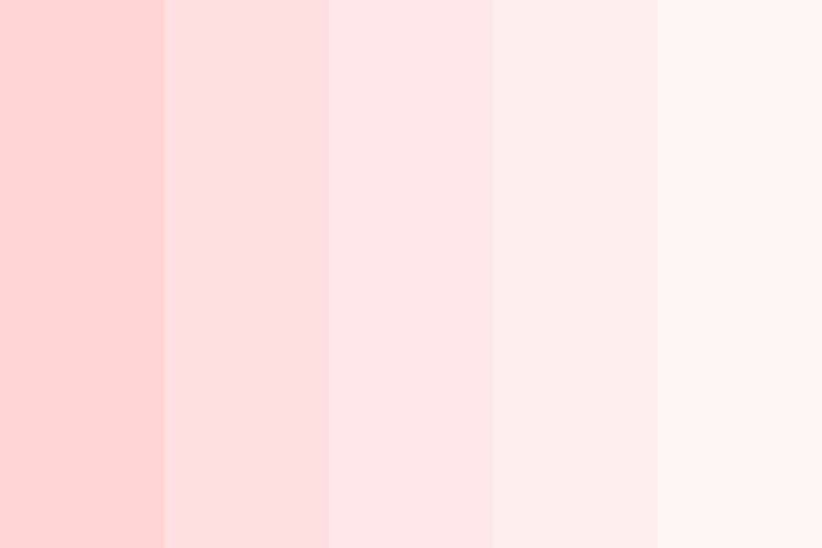 Tropical Salmonsicle Color Palette