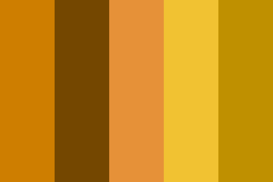 the fitness graham pacer test is a multi staged ae Color Palette