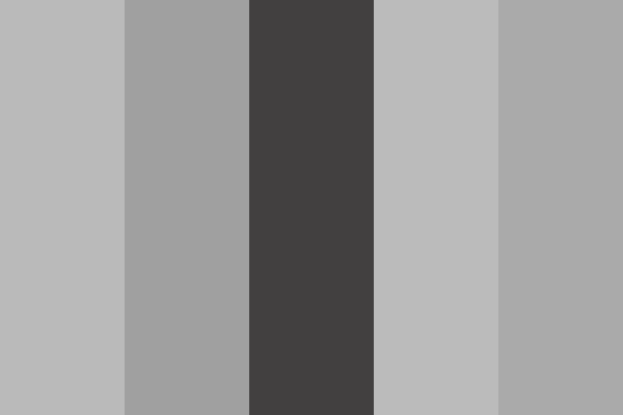 Black Salt N Pepper Color Palette