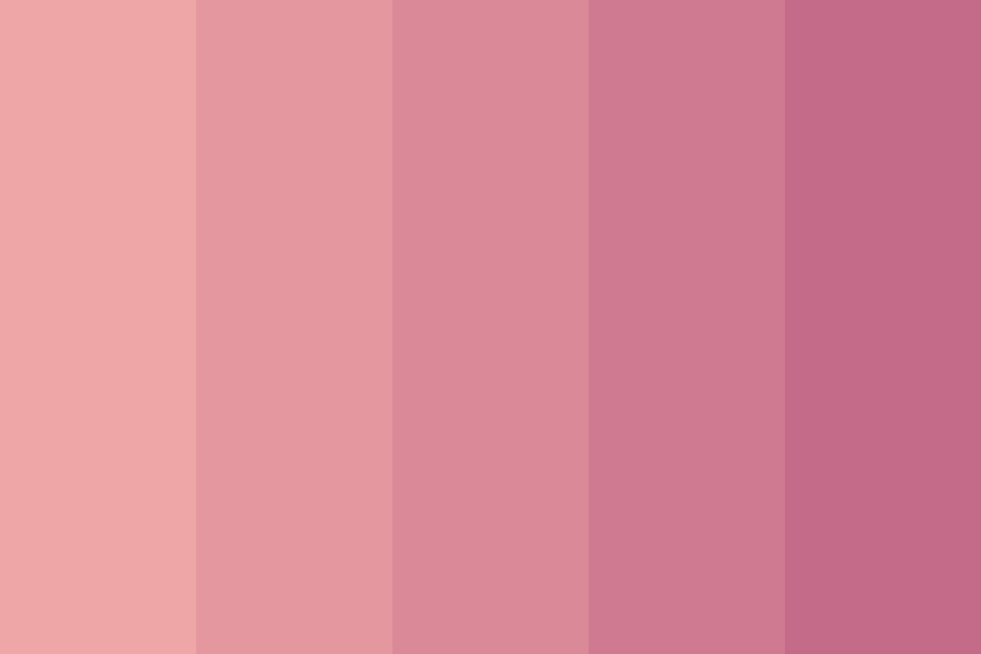 dull peaches Color Palette