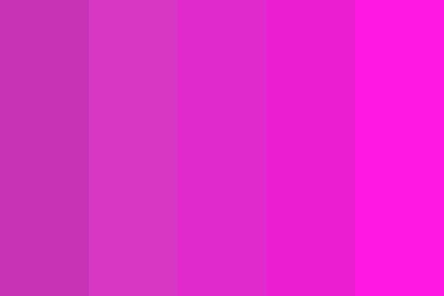 Shades 0f pink Color Palette