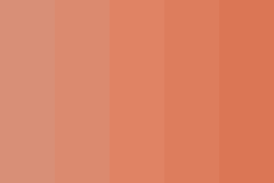 Terra Cotta Copper Color Palette Terra Cotta Copper Color Palette