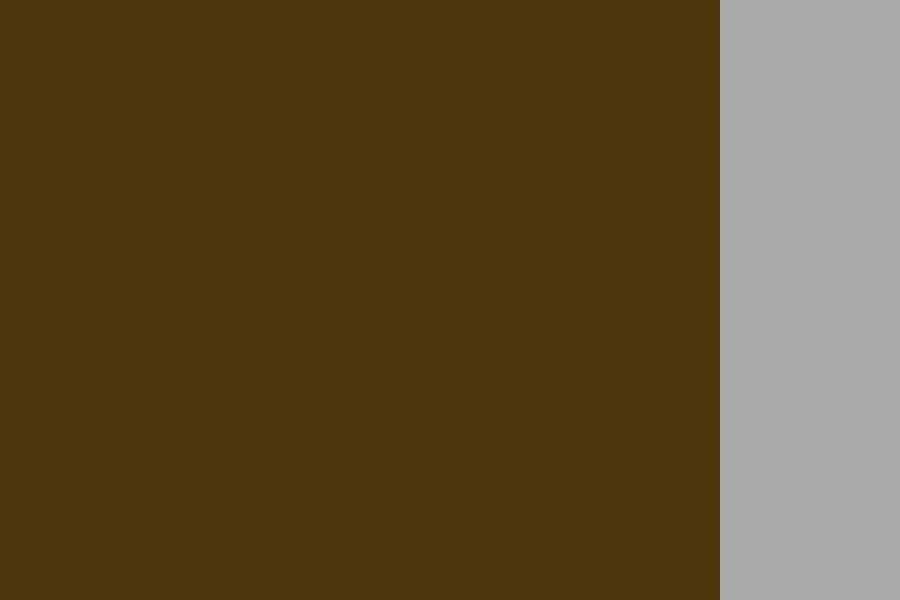 brown1 Color Palette