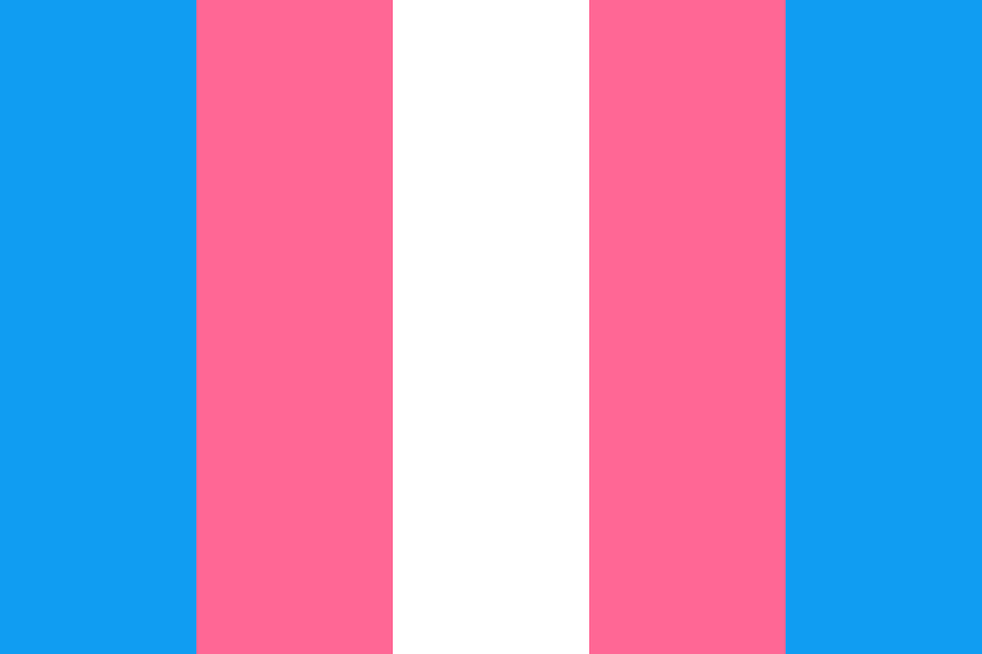 Trans Flag Yeet Color Palette