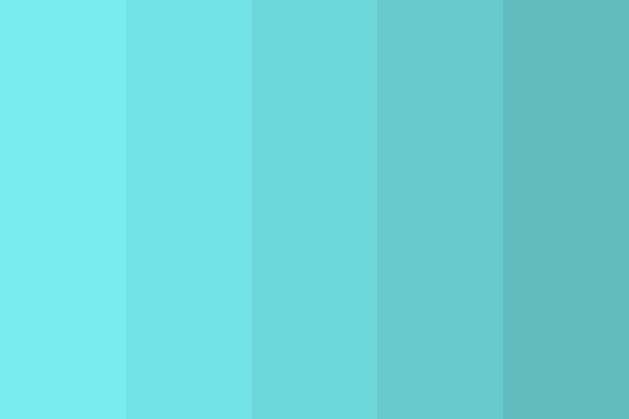 The Pool Color Palette