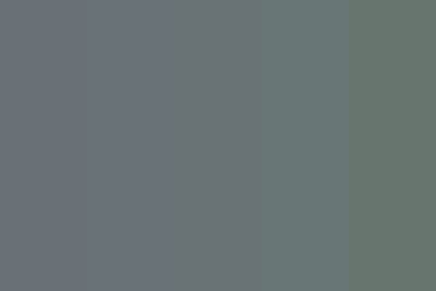 Mossy Stone Color Palette Mossy Stone Color Palette