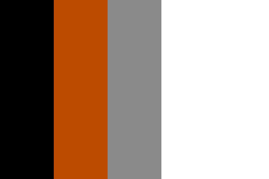 Black Hills Bandits Color Palette