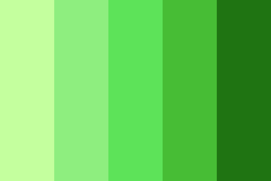 Age Roles Color Palette Age Roles Color Palette