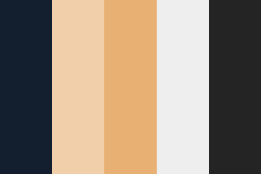 Internship BEM 2020 Color Palette